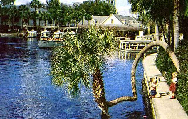 Silver Springs Dumpster Rental - Rent Yours Today!